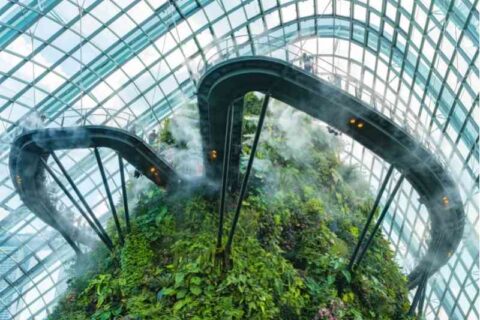 All About Smart City Growth: Why It Matters & What You Should Know