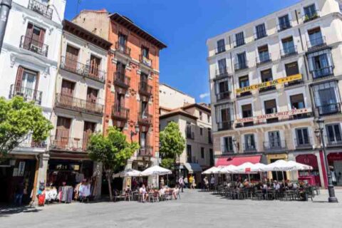 Carbon-Neutral Architecture: Why It Matters to Developers