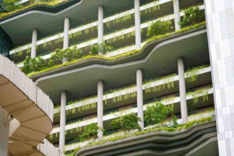 Carbon-Neutral Architecture: Why It Matters to Developers