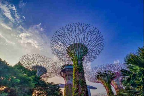 Biomimetic Architecture: Energy Efficiency Inspired by Nature