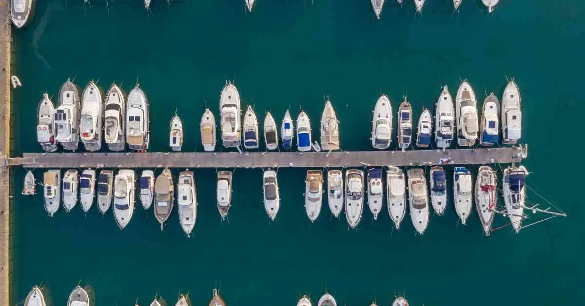 Marina Management Software: Buyer’s Guide to the Best Options